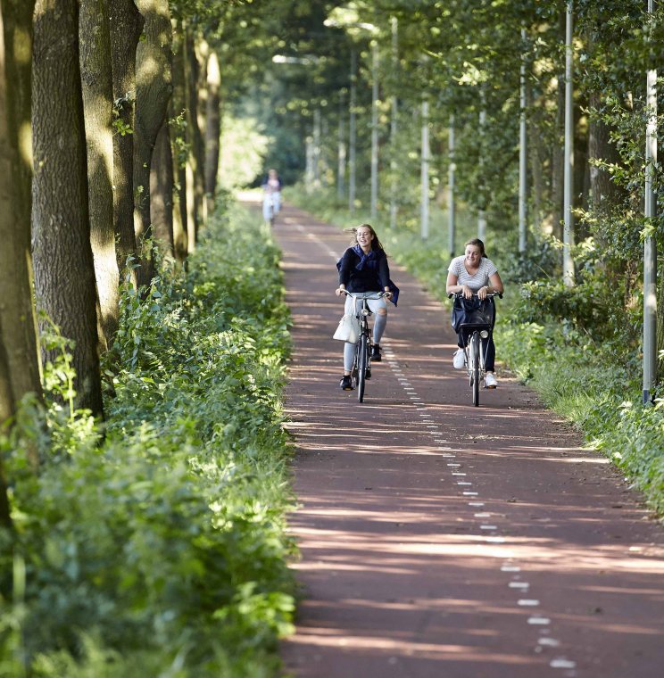 Onze projecten | Goudappel