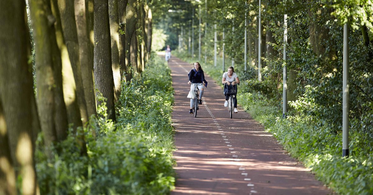 Inzicht in effecten snelfietsroutes in Noord-Brabant: bijna 20% van de ...